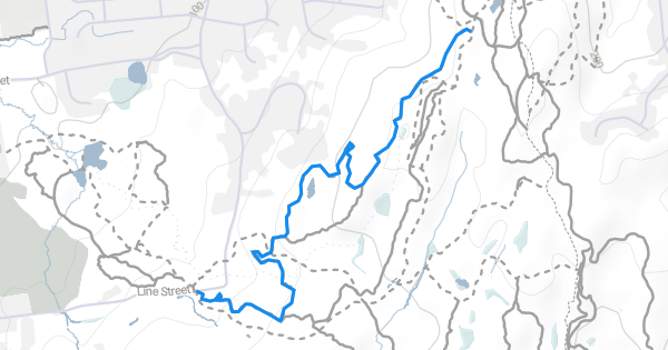 Black Mamba Mountain Biking Trail - Manchester, CT