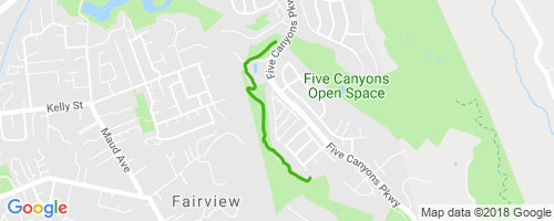 Deer Canyon Trail Mountain Biking Trail - Castro Valley