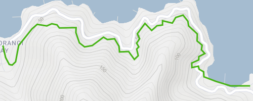 Link Pathway - Section 4 Mountain Biking Trail