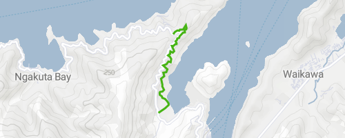 Link Pathway - Section 1 Mountain Biking Trail