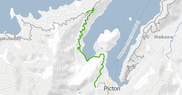 Link Pathway - Section 1 Multi Trail - | Trailforks
