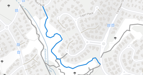 Unsworth Reserve Bush Bash Mountain Biking Trail - Cambridge