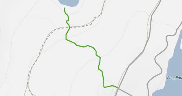 Pout Pond Trail Mountain Biking Trail - Dorchester