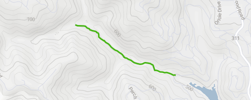 Thimbleberry Mountain Biking Trail - Willits, California