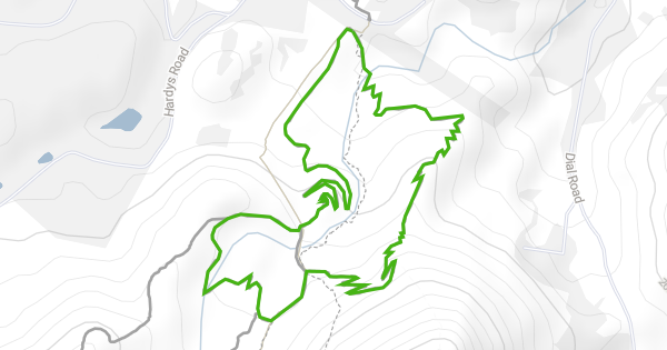 Montgomery Loop Mountain Biking Trail - Penguin