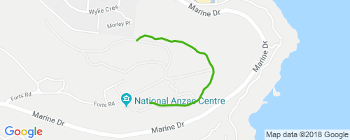 Mt Adelaide Trail Mountain Biking Trail - Albany