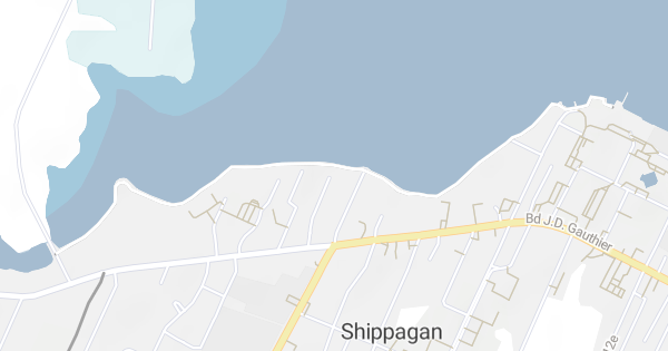 Piste cyclable de Shippagan Mountain Biking Trail - Shippagan, NB