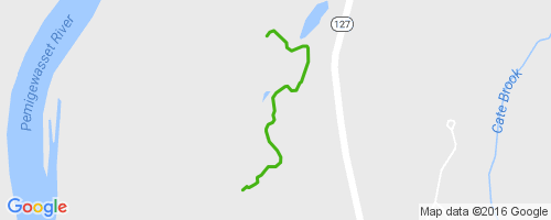 Whaleback Mountain Biking Trail - Franklin, New Hampshire