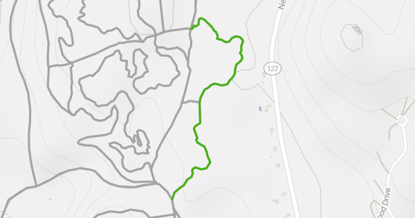 Whaleback Mountain Biking Trail - Franklin, New Hampshire