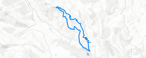 Merlin View Multi Trail - Bragg Creek, Alberta