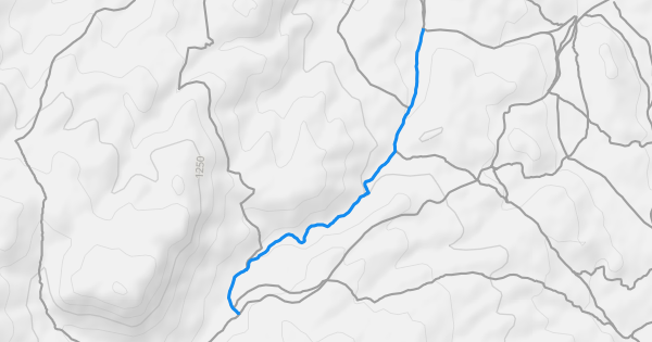 Wilson Creek (W100) Mountain Biking Trail - Wilson, Idaho