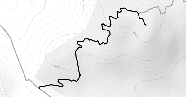 Raspberry Ridge Mountain Biking Trail - Buffalo Creek, CO