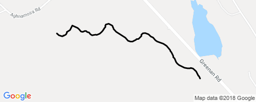 Malls Pallet Mountain Biking Trail - Big Wood, Newry