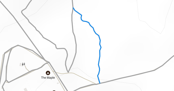 Flat One Mountain Biking Trail - Markethill | Trailforks