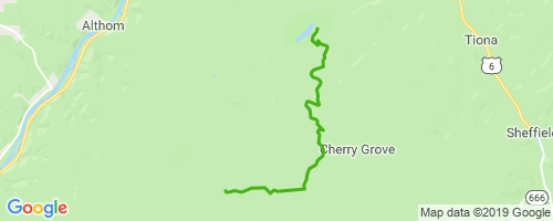 Chapman loop Mountain Biking Trail - Marienville, PA