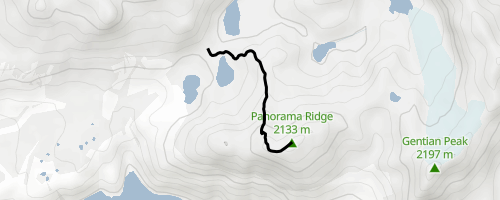 Panorama Ridge Trail Hiking Trail - Whistler, BC