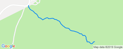 Black Mamba Mountain Biking Trail - | Trailforks