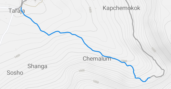 Black Mamba Mountain Biking Trail - | Trailforks