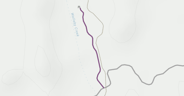The Knoll Spur Mountain Biking Trail - | Trailforks