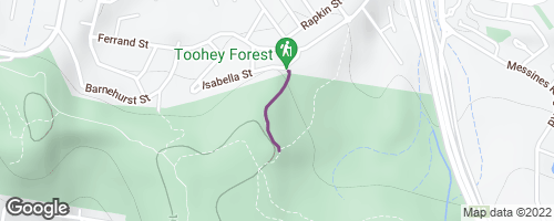 Bloodwood Track Multi Trail - Toohey Forest, Brisbane