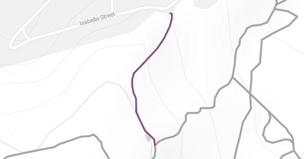 Bloodwood Track Multi Trail - Toohey Forest, Brisbane