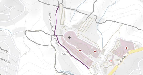 John Hunter Main Trail Mountain Biking Trail - Newcastle