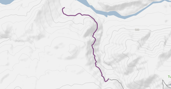 FS Road 2750 Mountain Biking Trail - Randle, Washington
