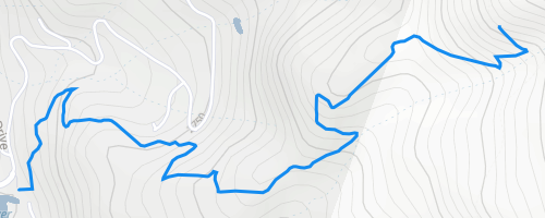 Angler Mountain Hiking Trail - Silverthorne, CO