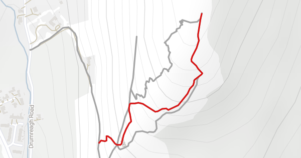 FSR Test Track Mountain Biking Trail - Rostrevor