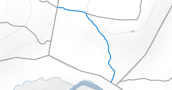 Trail Mountain Biking Trail - Garvagh forest, Garvagh