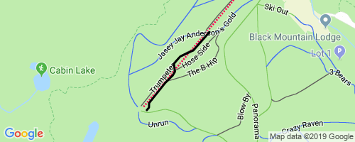 Trumpeter Skiing Trail - West Vancouver, British Columbia