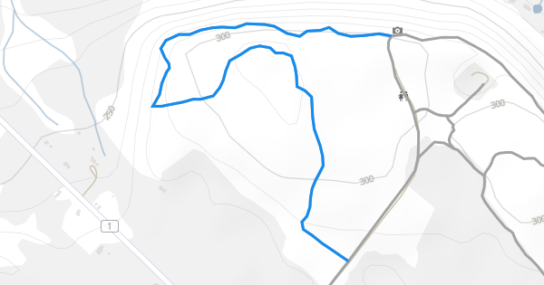 Bruce Trail (North Loop Trail) Hiking Trail - Burlington