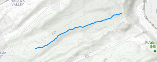 Tripler Ridge Trail Hiking Trail - Pearl City, HI