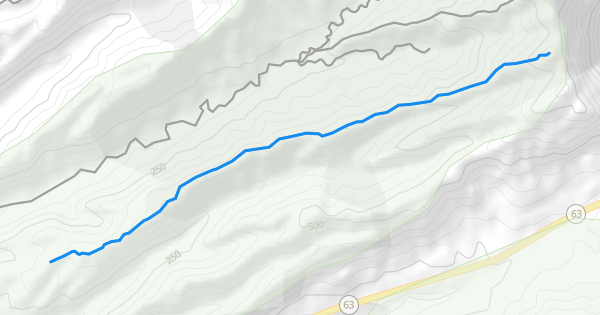 Tripler Ridge Trail Hiking Trail - Pearl City, HI