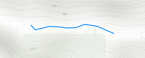 Koʻolau Summit Ridge Trail Hiking Trail - Honolulu