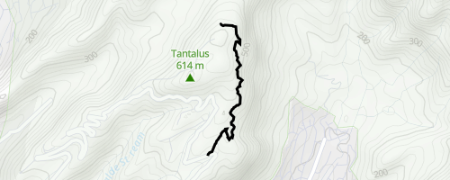 Manoa Cliff Trail Hiking Trail - Honolulu, Hawaii