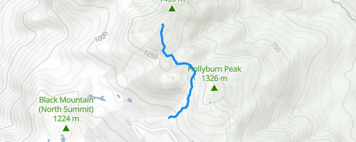 Mount Strachan Trail Hiking Trail - West Vancouver, BC