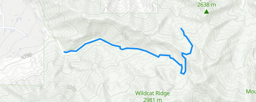 Neffs Canyon Hiking Trail - Millcreek, Utah | Trailforks