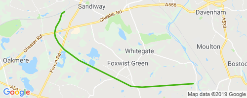 Whitegate Way Multi Trail - Delamere Forest, Delamere