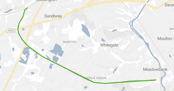 Whitegate Way Multi Trail - Delamere Forest, Delamere