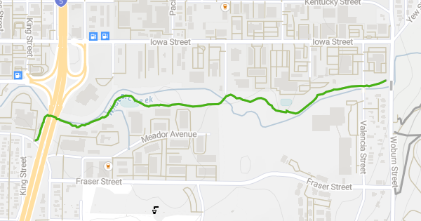 Whatcom Creek Trail Mountain Biking Trail - Bellingham