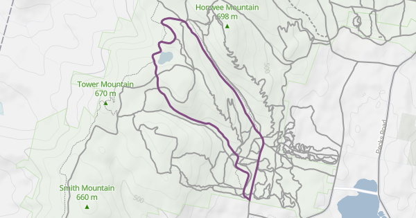 Berry Pond Circuit Road Multi Trail - Pittsfield, MA