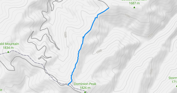 Trail #808 Mountain Biking Trail - Saltese, MT
