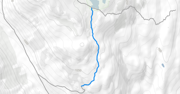 Brew Lake (Roe Creek) Hiking Trail - Whistler, BC