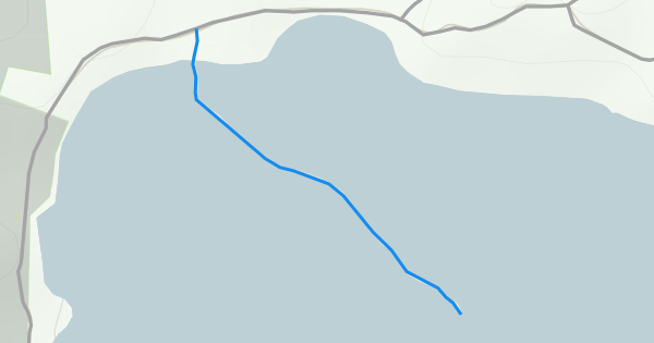 Ponkapoag Bog Boardwalk Multi Trail - Milton, MA