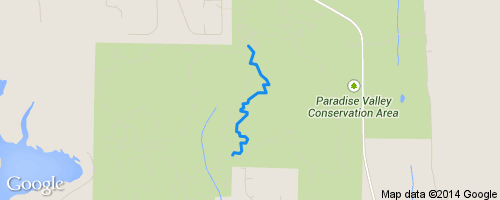 Lloyd's Trail Mountain Biking Trail - Maltby, Washington