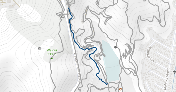 Beeline Mountain Biking Trail - Lower Hutt | Trailforks