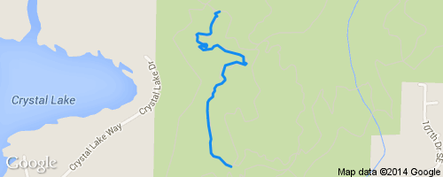 Ephemeral Mountain Biking Trail - Maltby, Washington