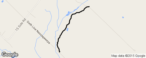 Bruce Trail - Hilton Falls Side Trail Hiking Trail - Milton