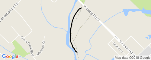 Rocky River Run Mountain Biking Trail - Guelph, Ontario